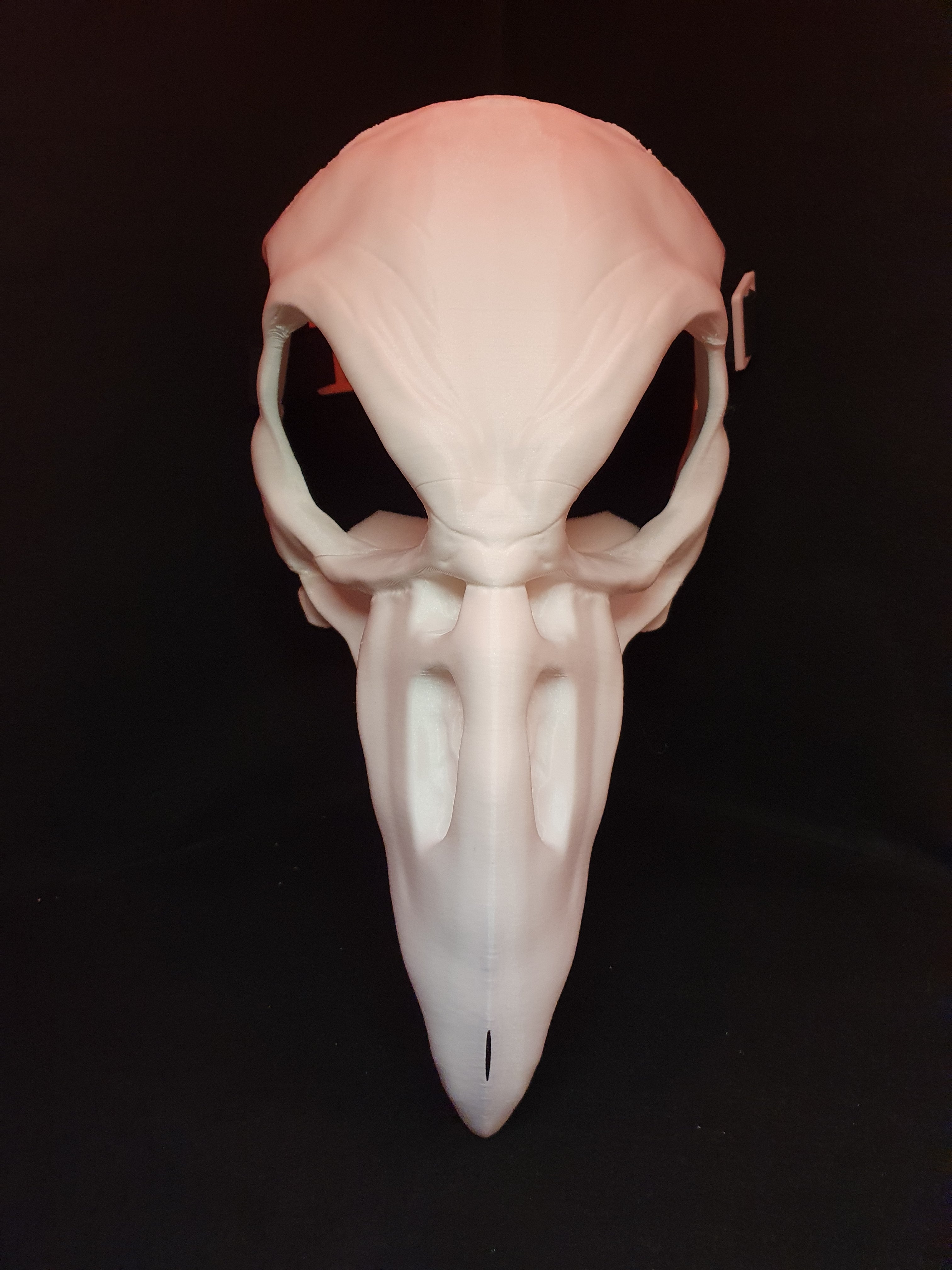 Bird skull cosplay mask - 3D-printed Crow skull costume – Vortacs3D